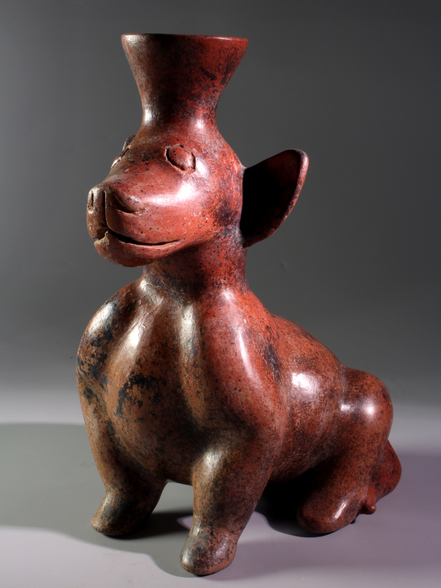 Alexander Ancient Art - A Colima Terracotta Dog