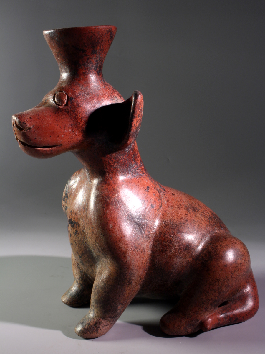 Alexander Ancient Art - A Colima Terracotta Dog