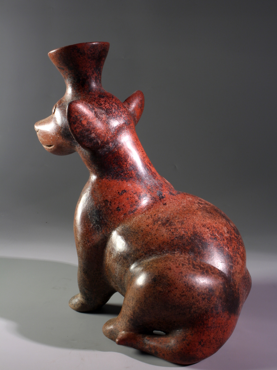 Alexander Ancient Art - A Colima Terracotta Dog