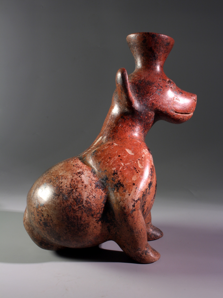 Alexander Ancient Art - A Colima Terracotta Dog