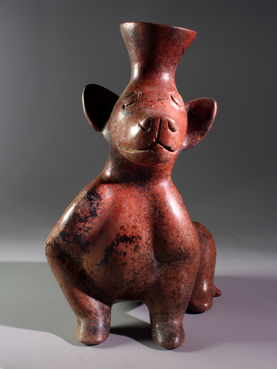 Alexander Ancient Art - A Colima Terracotta Dog